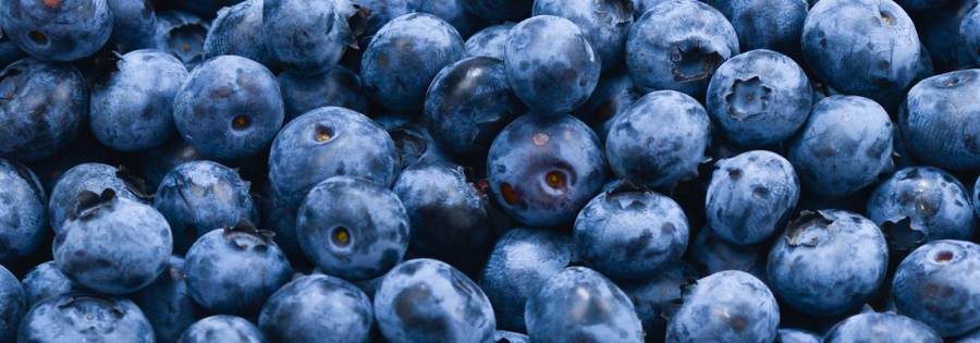 Ingredients – IM8 Health