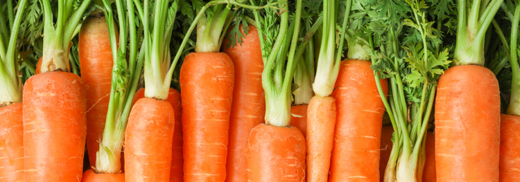 Ingredients – IM8 Health