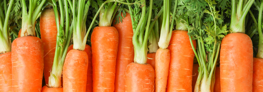 Ingredients – IM8 Health