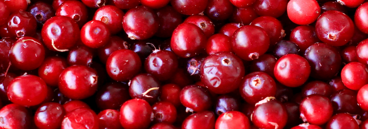 Ingredients – IM8 Health