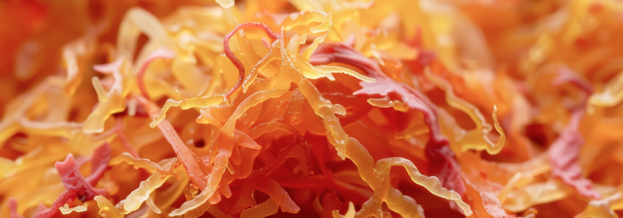 Ingredients – IM8 Health